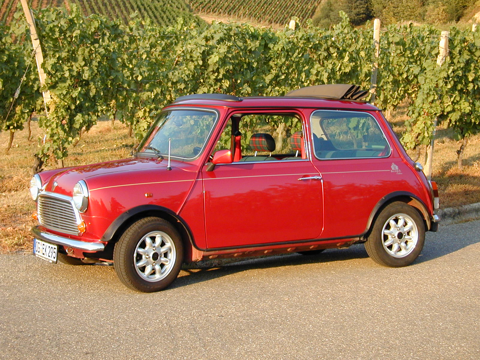 Mini
